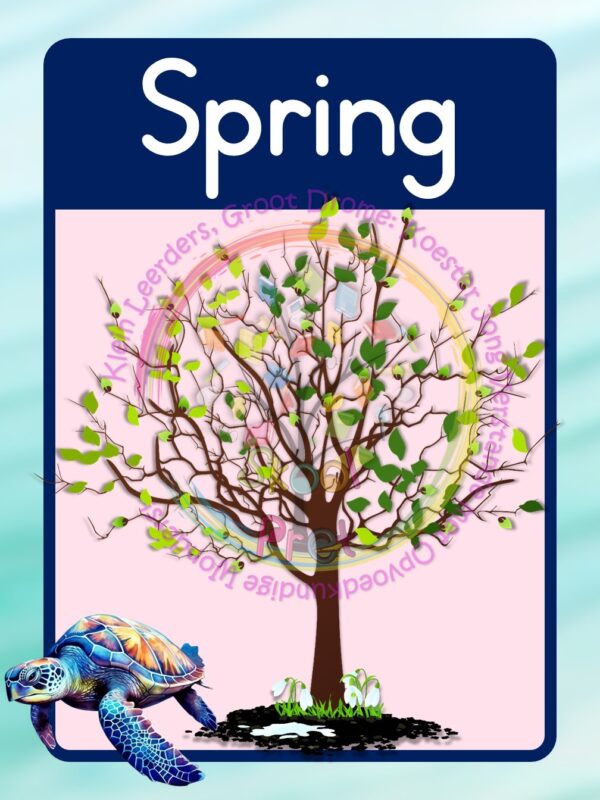 Sea Turtle Classroom Theme – Skool Pret